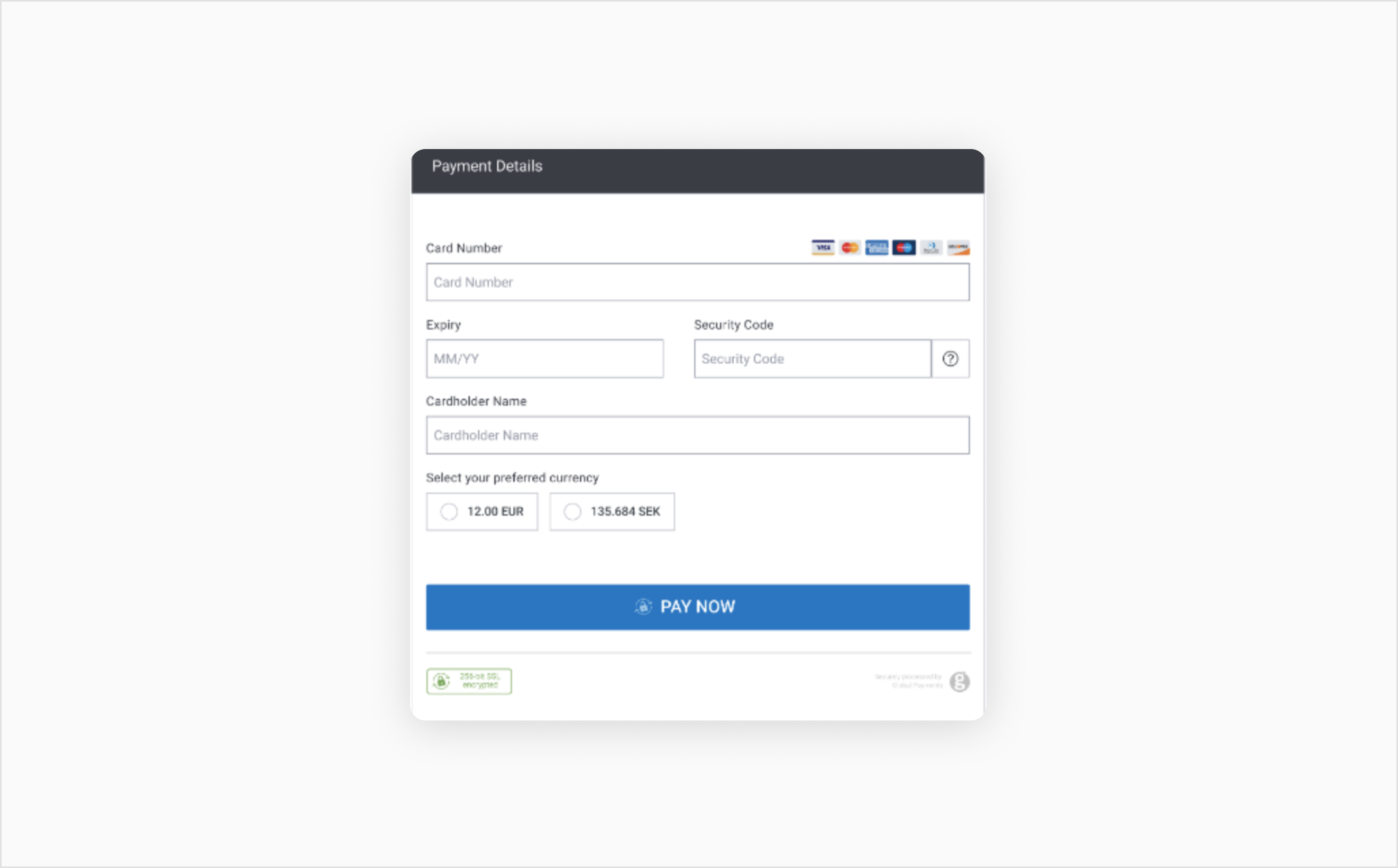 Dynamic Currency Conversion - Guide | Global Payments